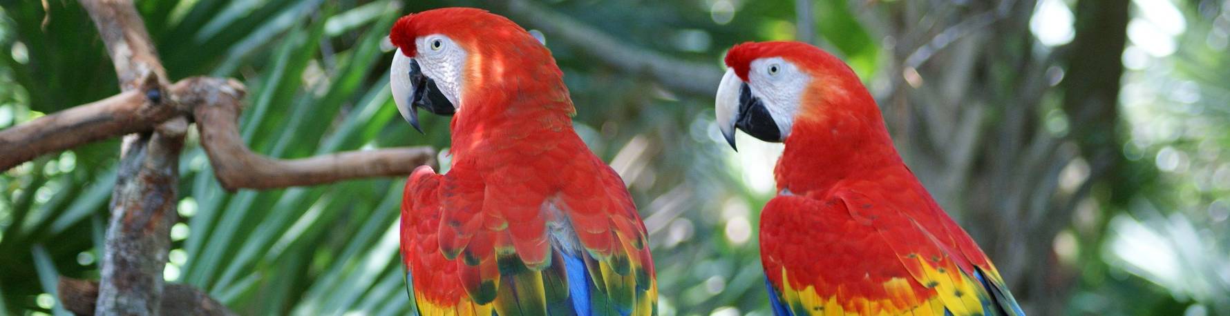 Alles voor uw dieren - JUNAI